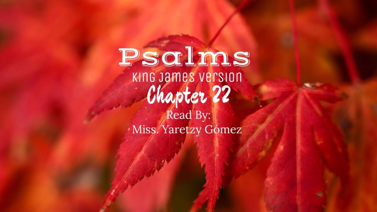 Psalms Chapter 22 | KJV | Read By: Miss. Yaretzy Gómez | November 2 ...
