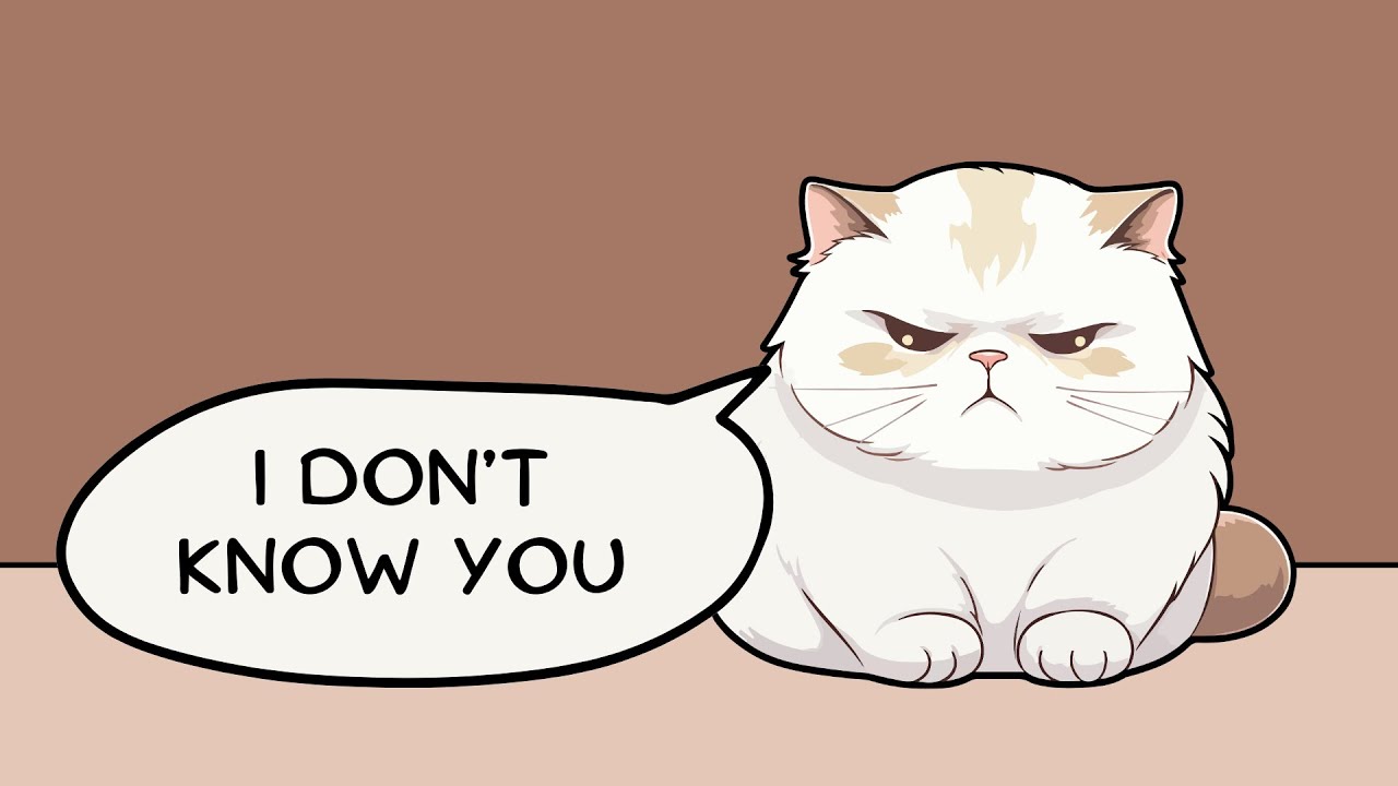 How Long Will a Cat Remember You? (Surprising Science!) - YouTube