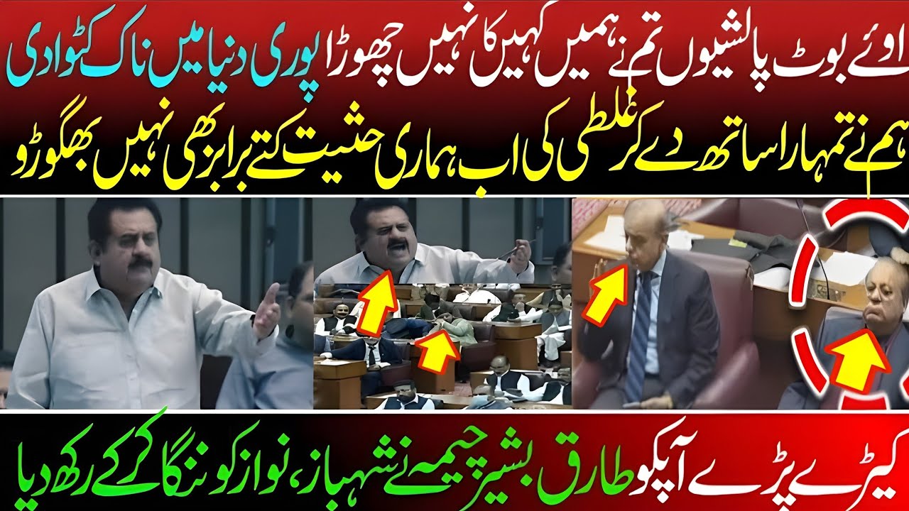 Tariq Bashir Cheema ne Assembly Mai Nawaz Shahbaz Ko Mou Dikhany Laiq Ni Chora | Ab Lo Maza ...
