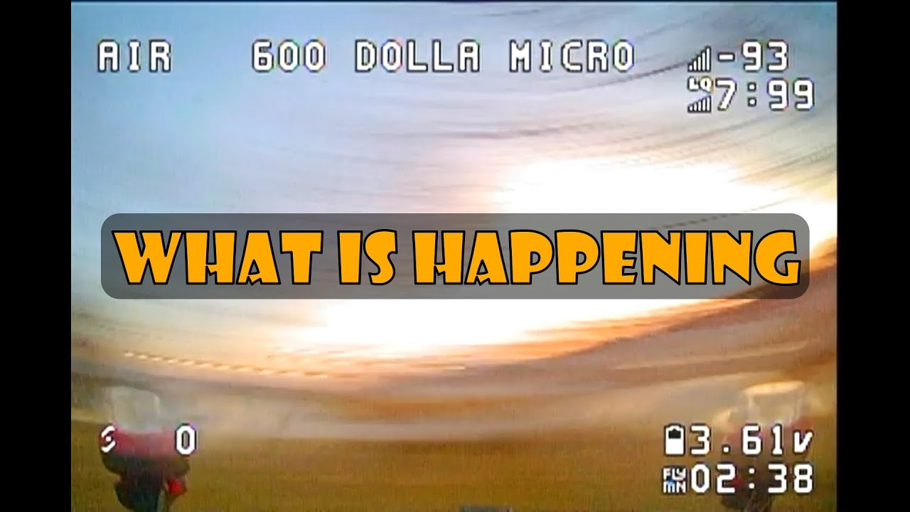 FPV Tree Surfing with the TP3 Toothpick - YouTube