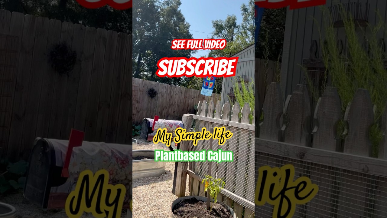 My simple, plantbased life Hanging thrift shop flag - YouTube