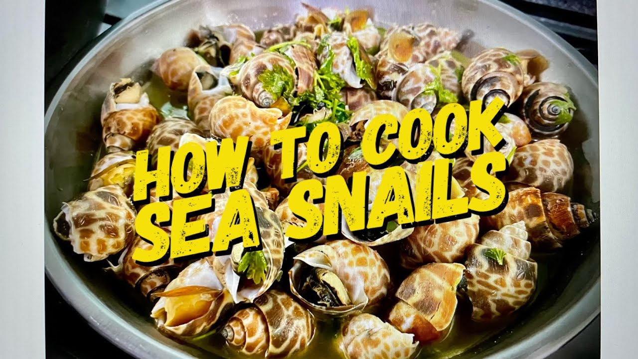 How to cook sea snails - YouTube