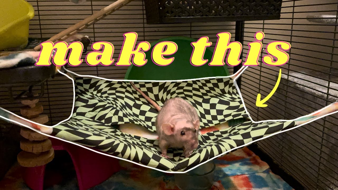 Rat Hammock Tutorial | DIY - YouTube