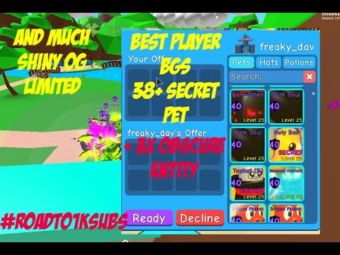 👍OTHER BEST PLAYER ON BGS HAS 👍😱38+ SECRET PET(3 SHINY) + 3X SECRET HAT ...