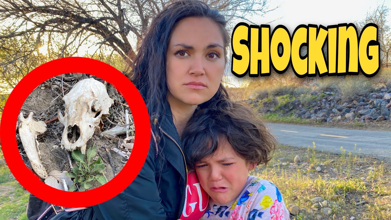 YOU WON'T BELIEVE WHAT WE FOUND LOOKING FOR BENJI | Lito and Maddox ...