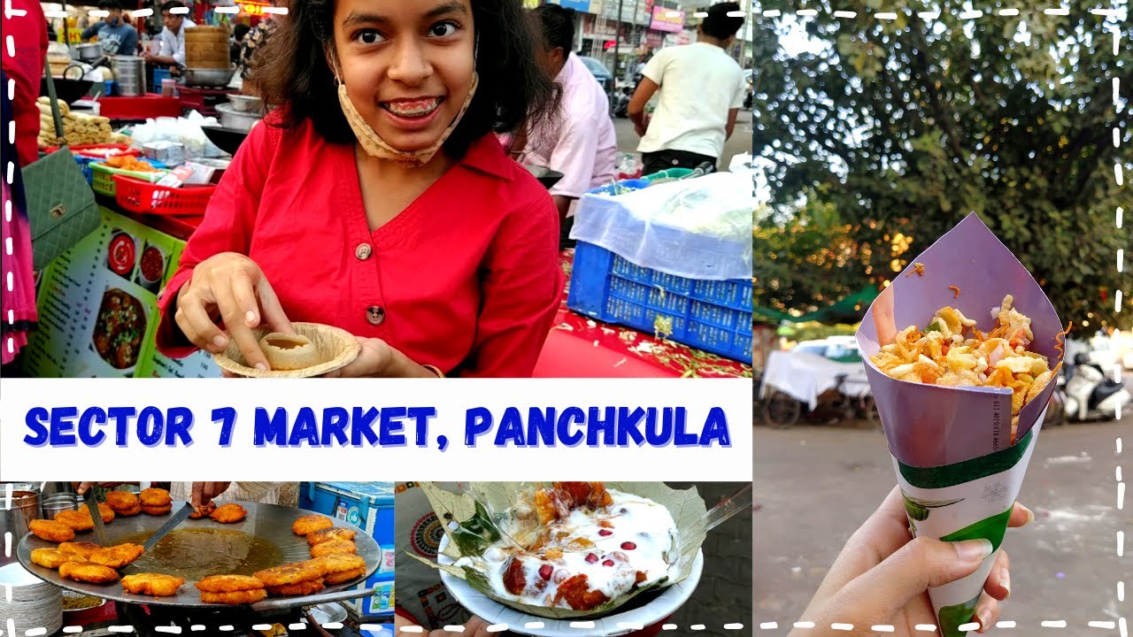 Sector 7 Market, Panchkula | Panchkula Eating Joint | Cactus Garden ...