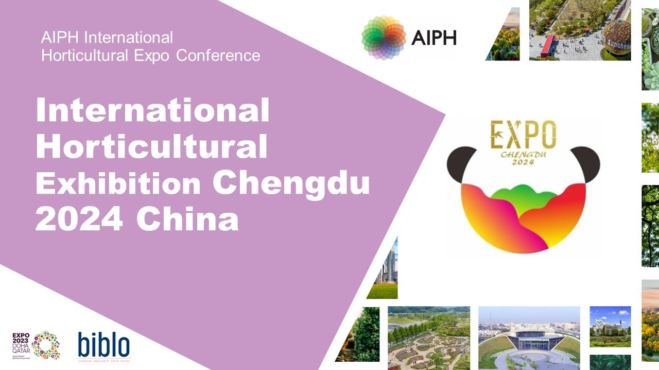 Expo 2024 Chengdu, China | Progress Report | Spring 2024 - YouTube