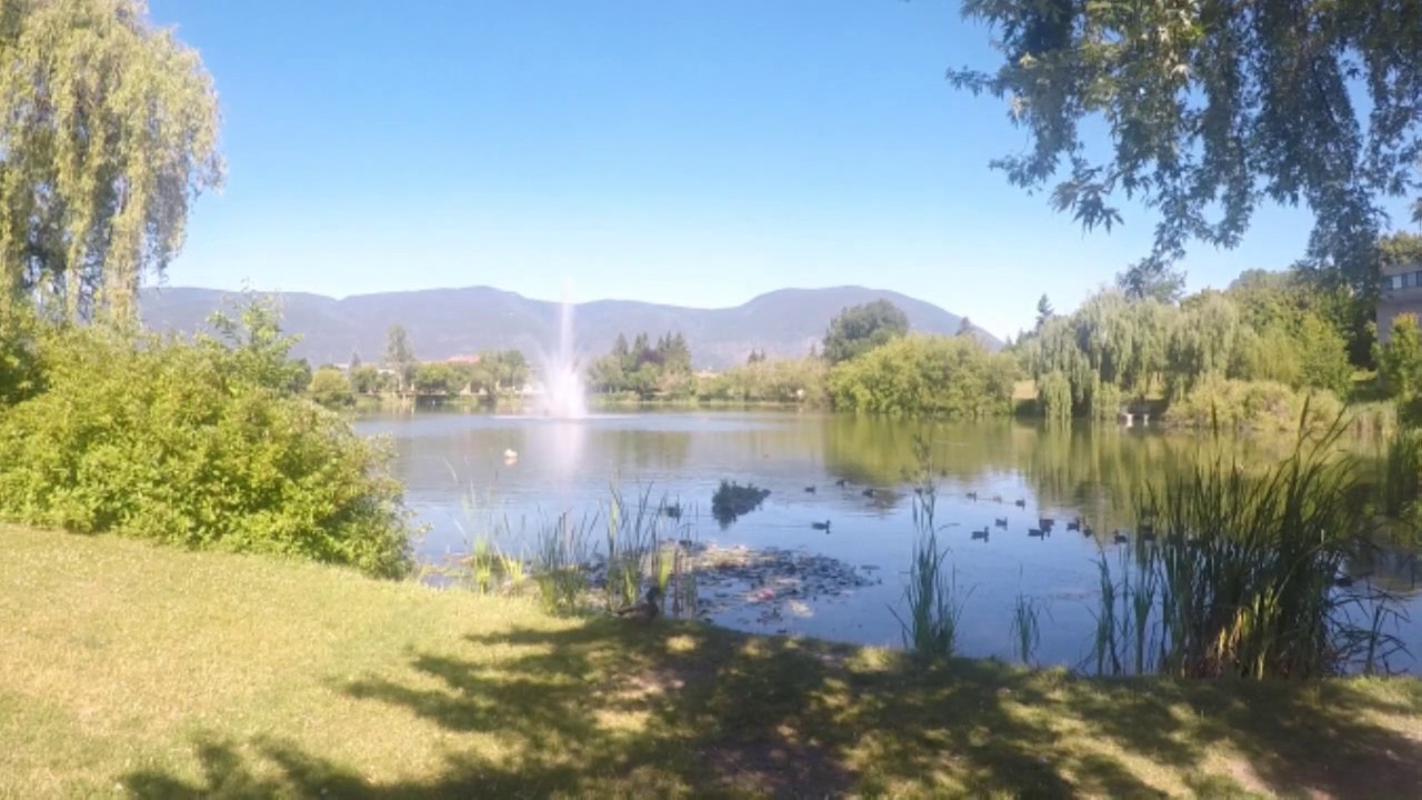 McGuire lake park, Salmon Arm, BC, Canada - YouTube