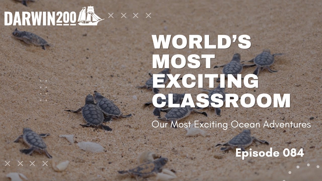 World's Most Exciting Classroom Episode 084 | Our Most Thrilling Ocean ...