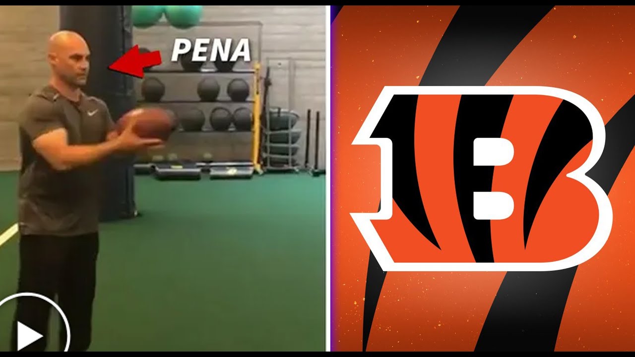 NEW INFORMATION IN THE JOE MIXON CASE CAME OUT!| JOE MIXON'S TRAINER ...