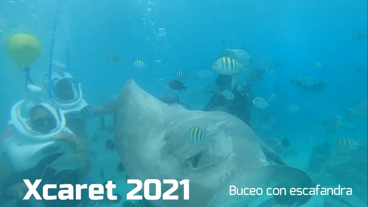 Buceo con Escafandra, Xcaret, México 2021 - YouTube