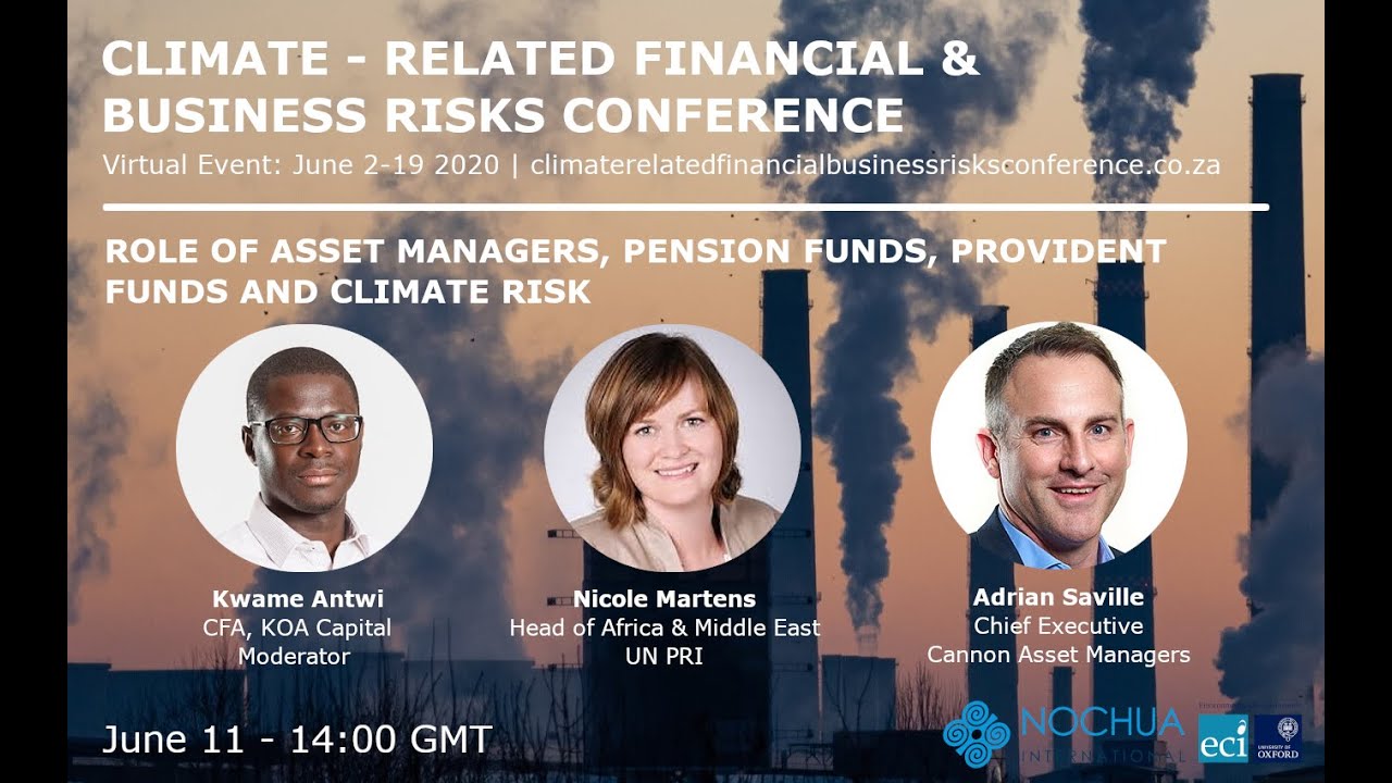 ROLE OF ASSET MANAGERS, PENSION FUNDS, PROVIDENT FUNDS AND CLIMATE RISK ...