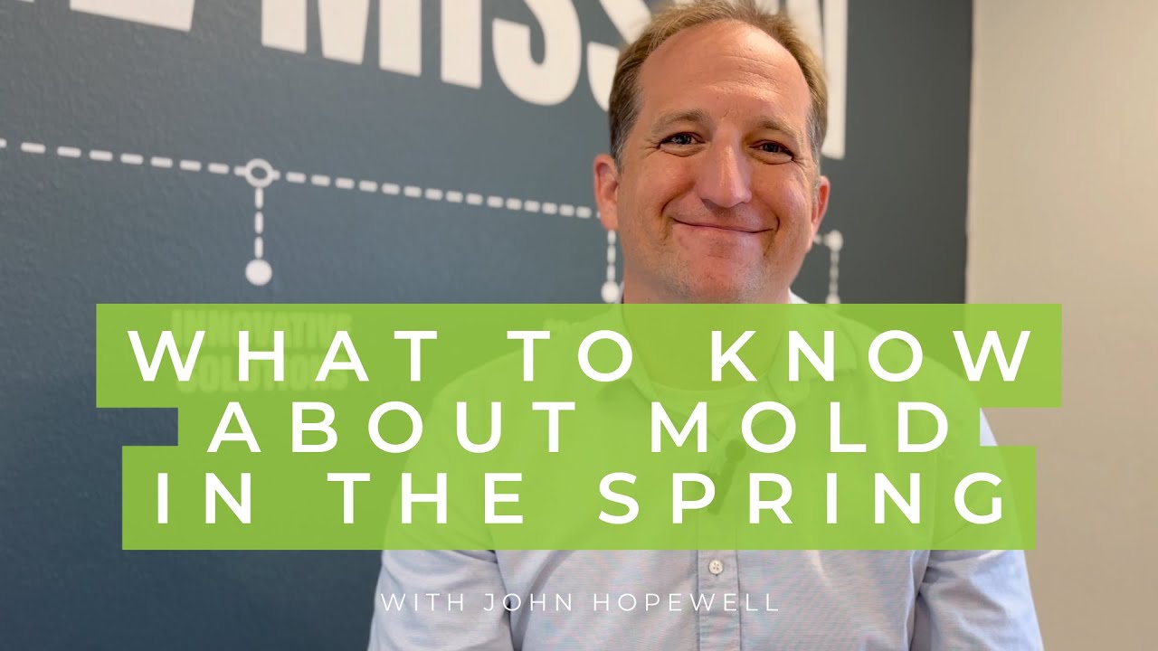 What to Know About Mold in the Spring | Rainy Day Restoration - YouTube