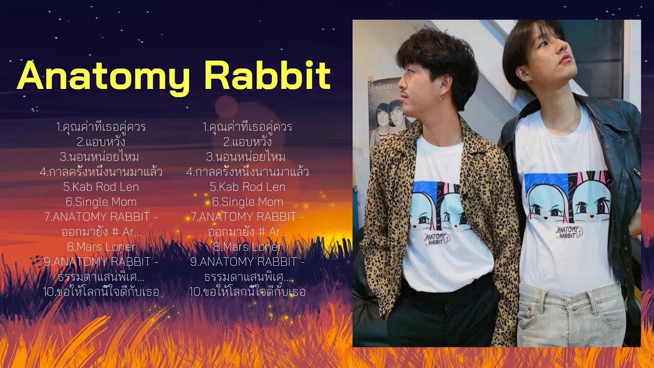 รวมเพลงดีๆ โดย Anatomy Rabbit [ล่าสุด] - Top 10 Anatomy Rabbit Hits Of ...