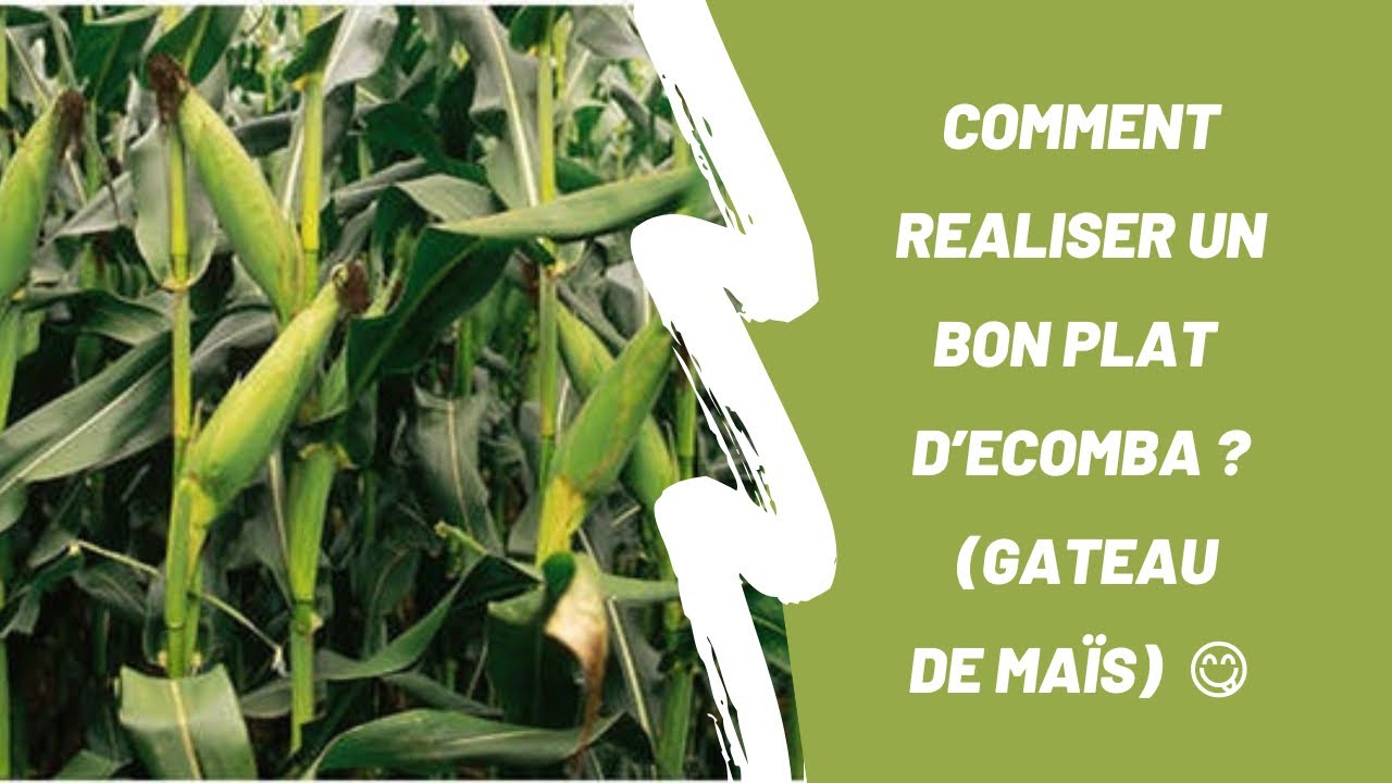 La meilleure recette de gâteau de maïs (Ekomba) - YouTube