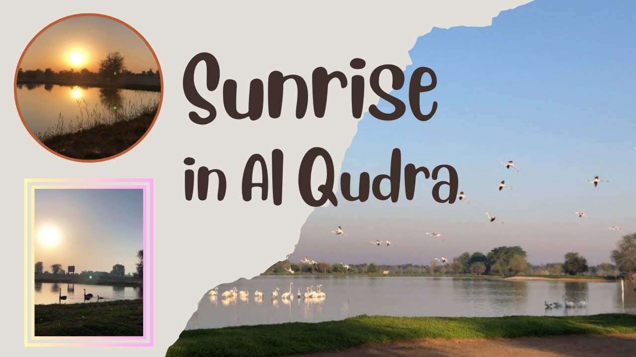 Sunrise in Al Qudra Lake - Dubai - YouTube