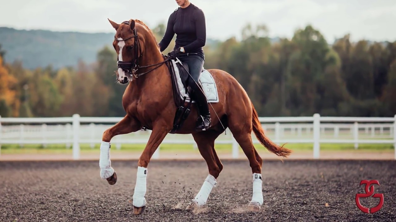 Dajhann & Elenore Simberg wintertraining december -17 - YouTube