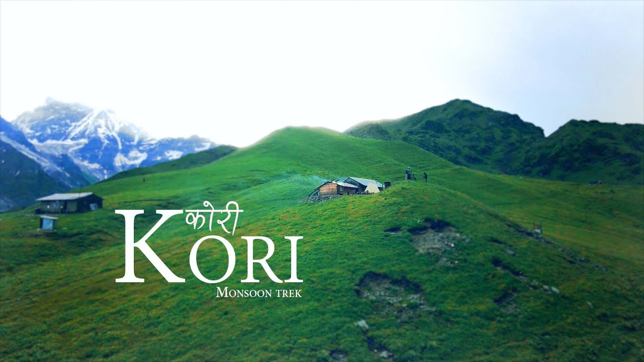 Kori in monsoon //Tasa - kori //Day 02 - YouTube