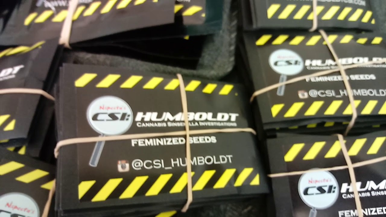 CSI:Humboldt Feminized seeds - YouTube