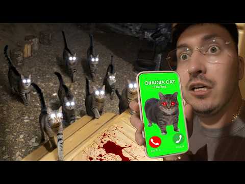 IF OIIA OIIA CAT CALLS AT 3AM RUN! (Short Horror Movie)