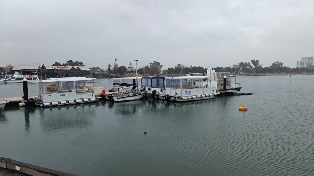 Best thing must do at Mandurah Perth - Self drive pontoon boat ride ...