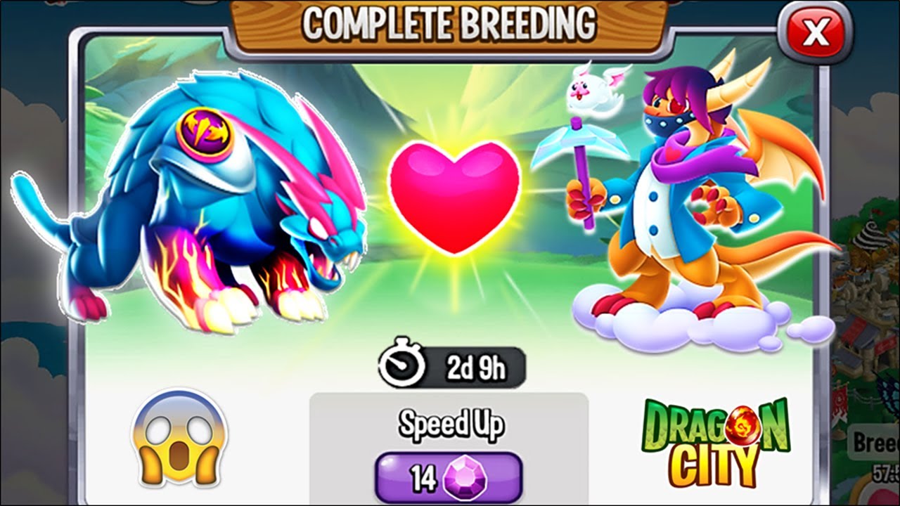 Dragon City: Mr Beast Dragon vs Forrestbono Dragon [EXCLUSIVE BREEDING ...