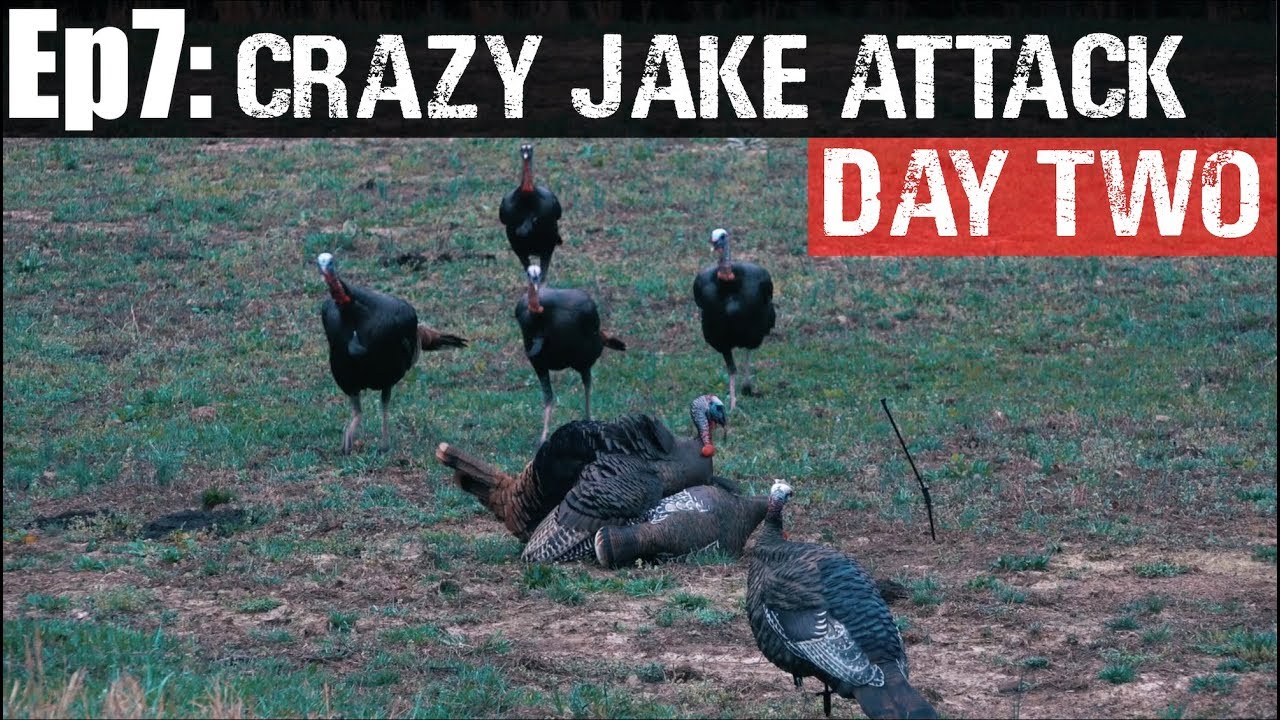 KENTUCKY DAY TWO. CRAZY JAKE ATTACK. - YouTube