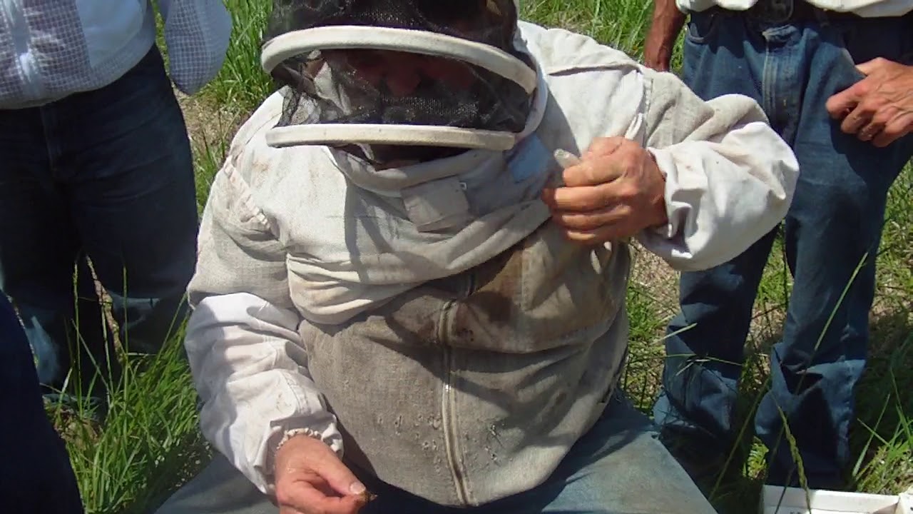 Setting up a Honey Bee cell starter with Kent Williams Queen Breeder ...