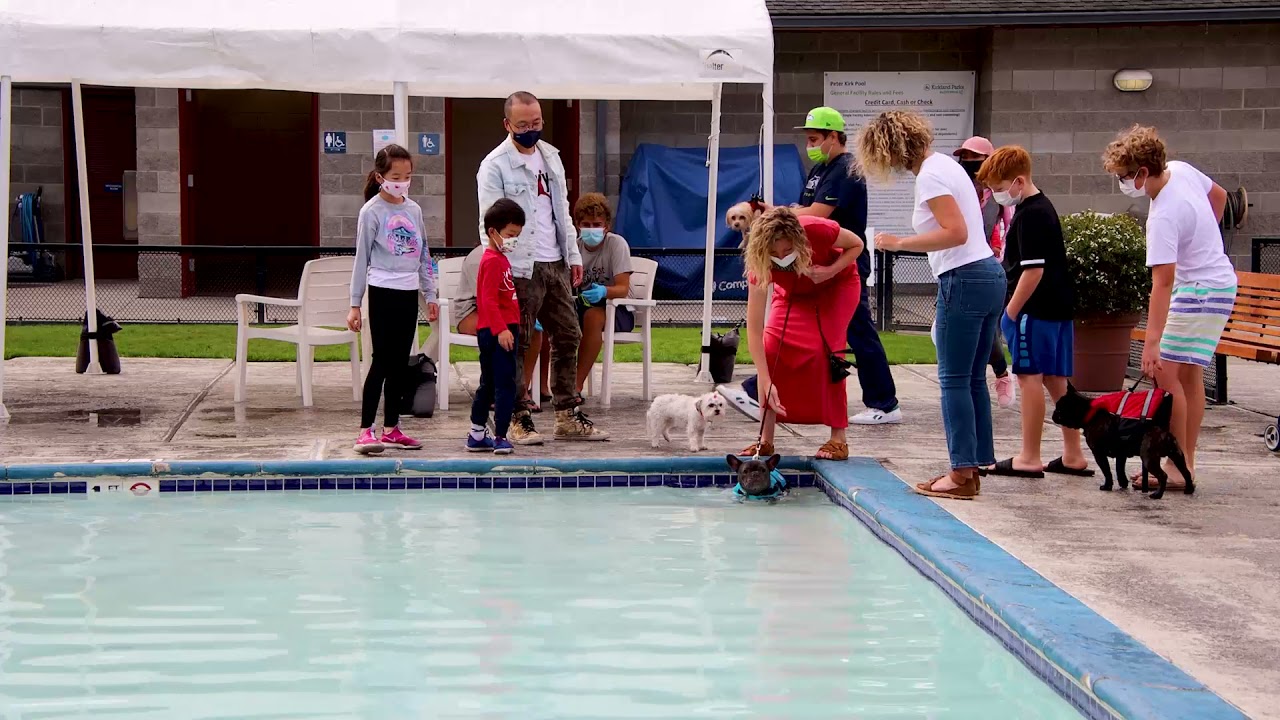 See Spot Splash 2021 - Sights and Sounds - YouTube