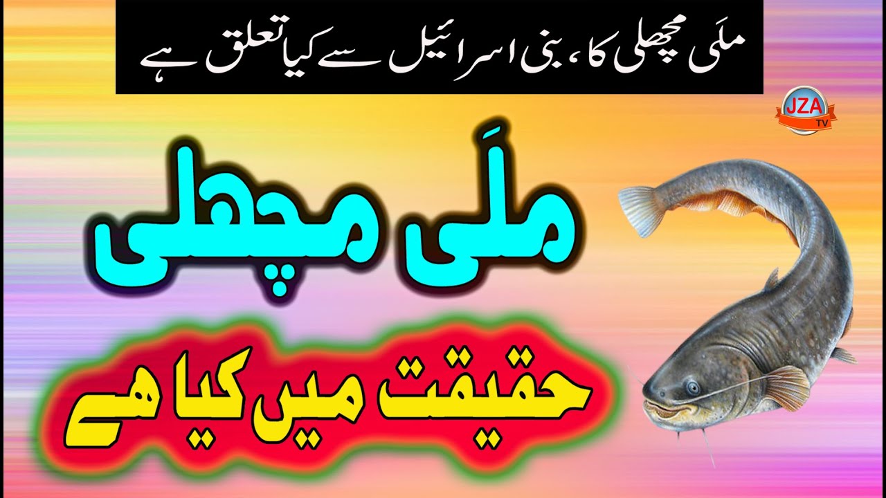Reality of Malli fish | ملی مچھلی کا بنی اسرائیل سے کیا تعلق ہے | JZA ...