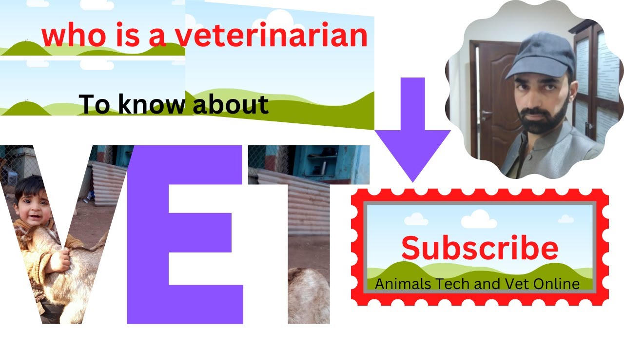 Doctor of Veterinary Medicine in Pakistan | A true vet | janwaron ka ...