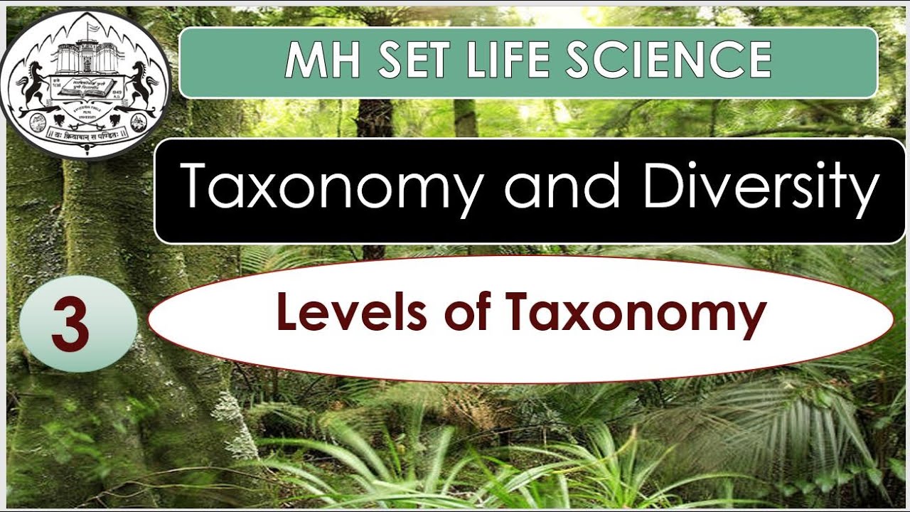 Levels of Taxonomy | Alpha, Beta And Gamma Taxonomy | Vernacular and ...