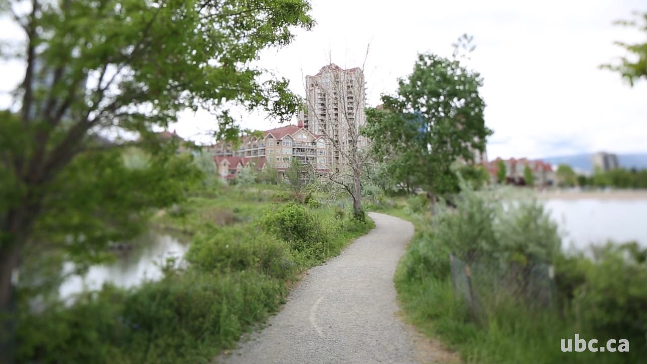 Michael Smith - Creative Writing Challenges - YouTube