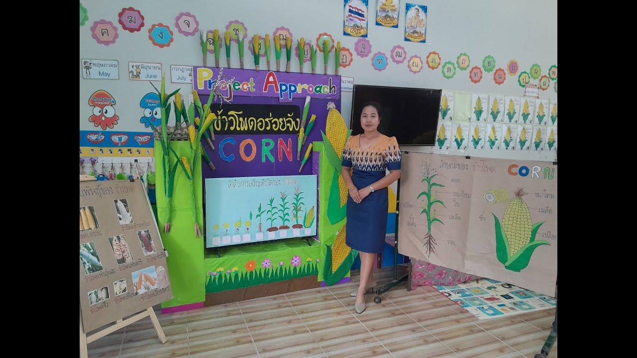 Project Approch เรื่อง ข้าวโพดอร่อยจัง - YouTube