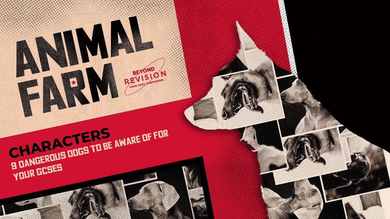 Animal Farm Characters: 9 Dangerous Dogs To Be Aware Of For Your GCSEs ...