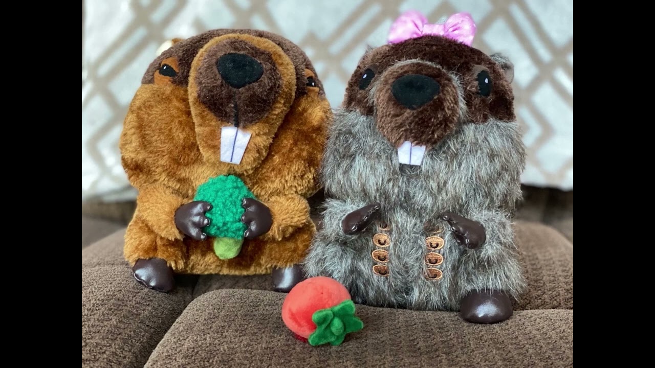 Nibbles Plush Is Now Available! - YouTube