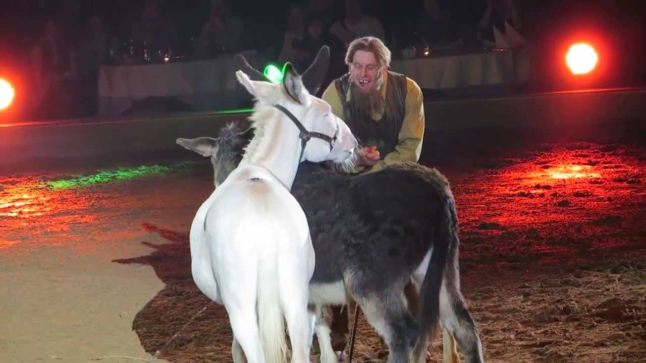 Apassionata 2014, Zeit für Träume: Laurent Jahan und seine Esel - YouTube