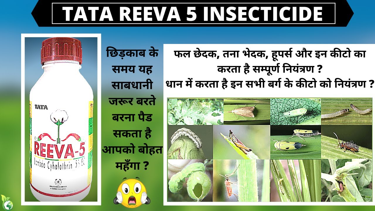 TATA REEVA 5 INSECTICIDE | Lambda Cyhalothrin 5% ec |RALLIS INDIA ...