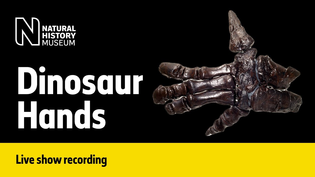 Dinosaur Hands | Live Talk with NHM Scientist - YouTube