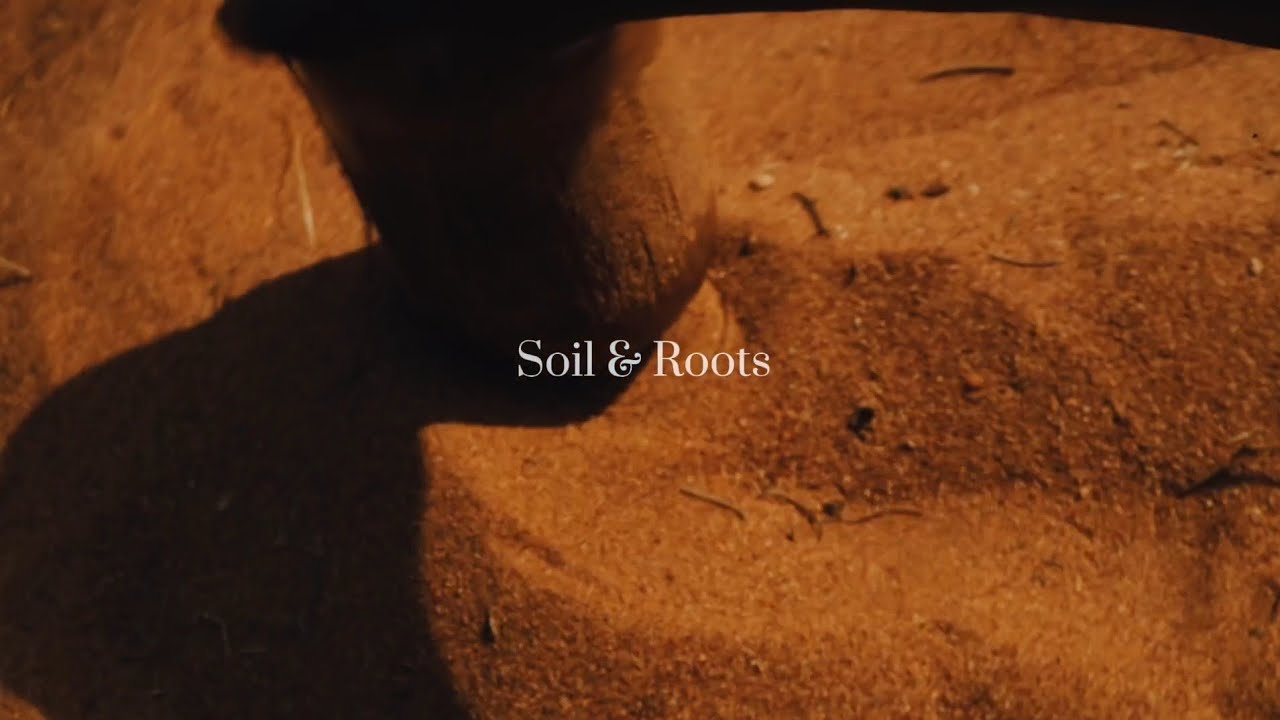 Soil & Roots OFFICIAL VERSION (A poem on history, heritage and culture ...
