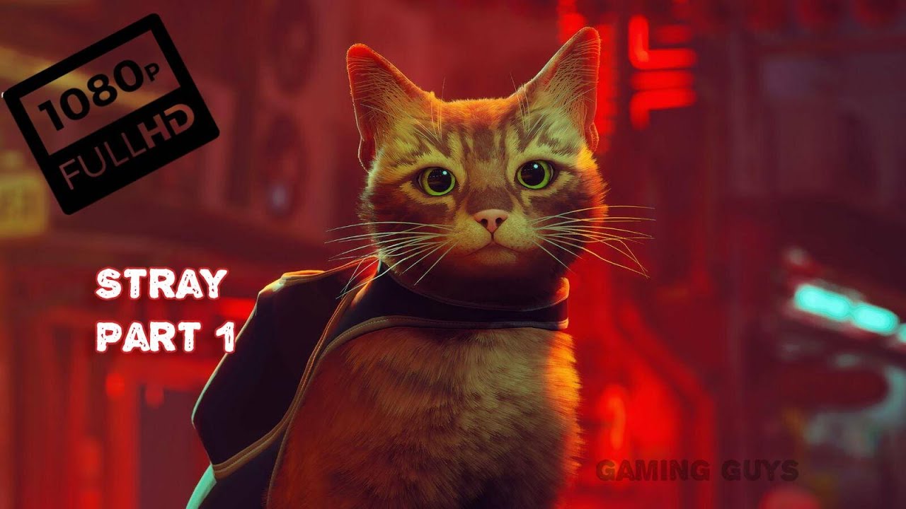 Stray Gameplay Part 1 - YouTube