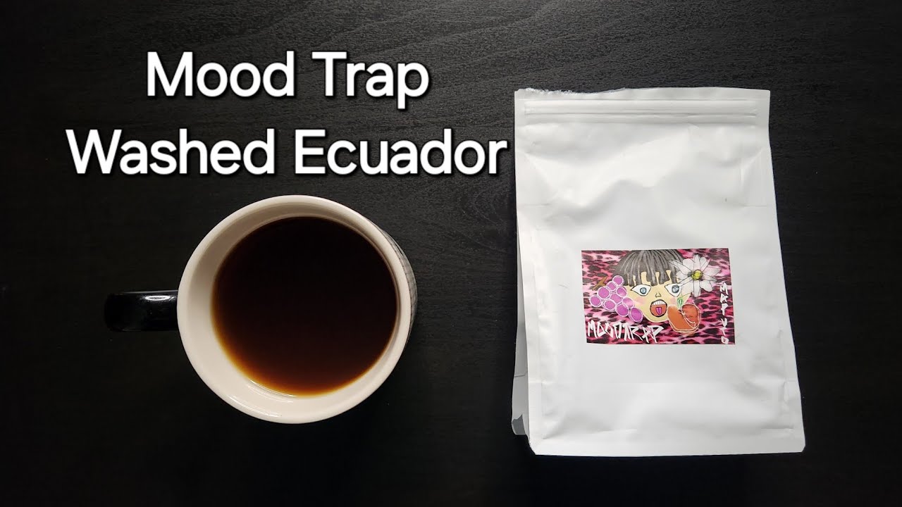 Mood Trap Coffee Roasters Review (Singapore)- Washed Ecuador Maputo #51 ...