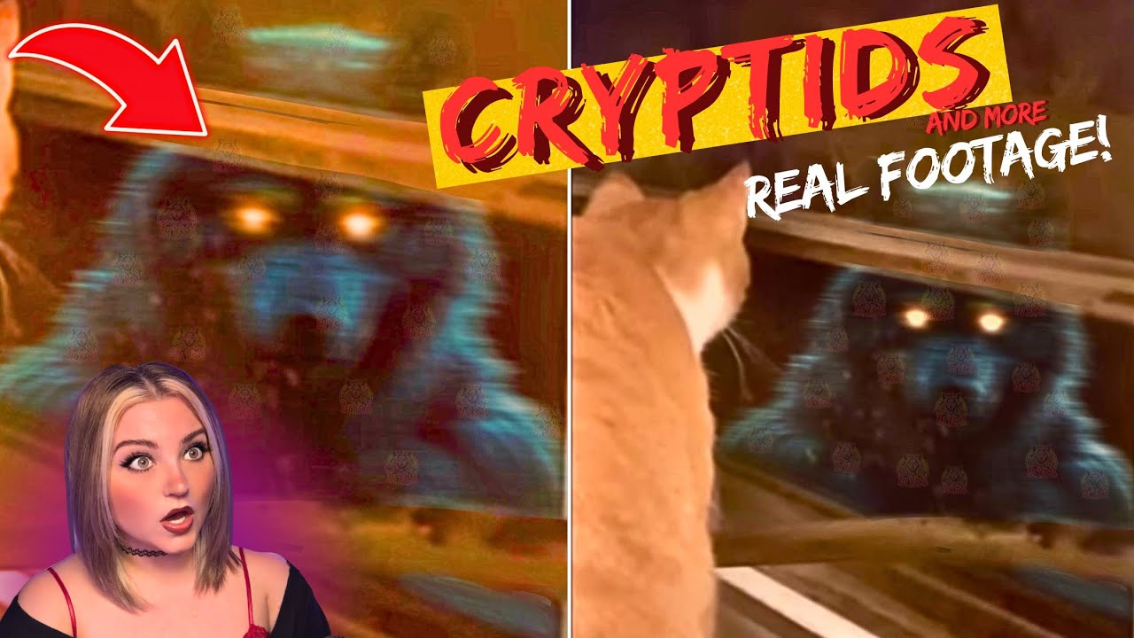 BONE CHILLING Creepy & Mysterious CRYPTIDS Caught on Camera 2025 - YouTube