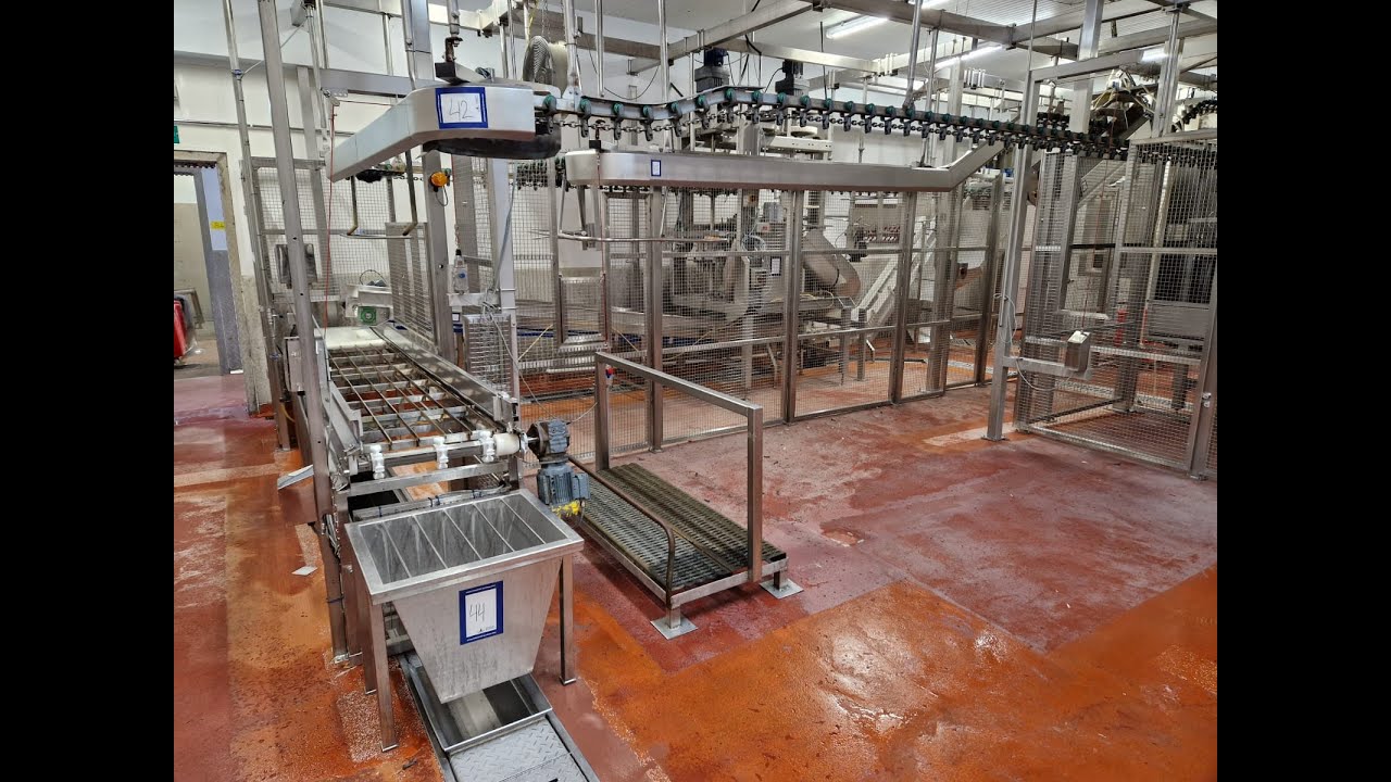 1292-503: Meyn evisceration line - YouTube