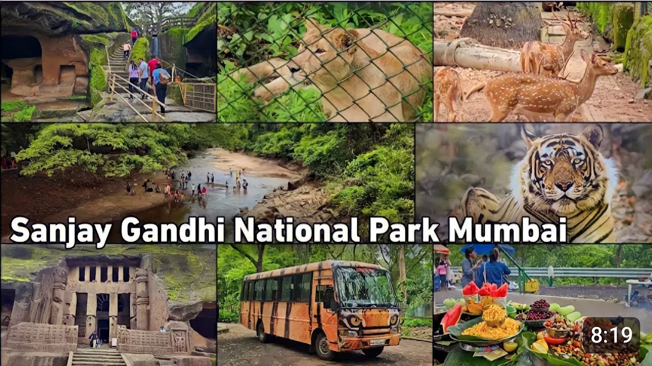 Sanjay Gandhi National Park Borivali /Sanjay Gandhi national park ...