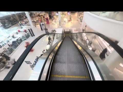 Schindler Escalators at Macy’s - Brandon, FL - YouTube