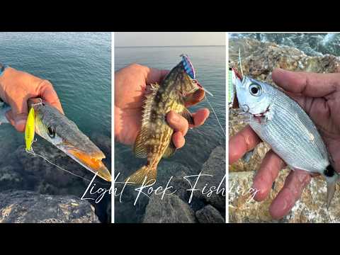 Micro Maket ve Micro Jig ile LRF / Light Rock Fishing Avları