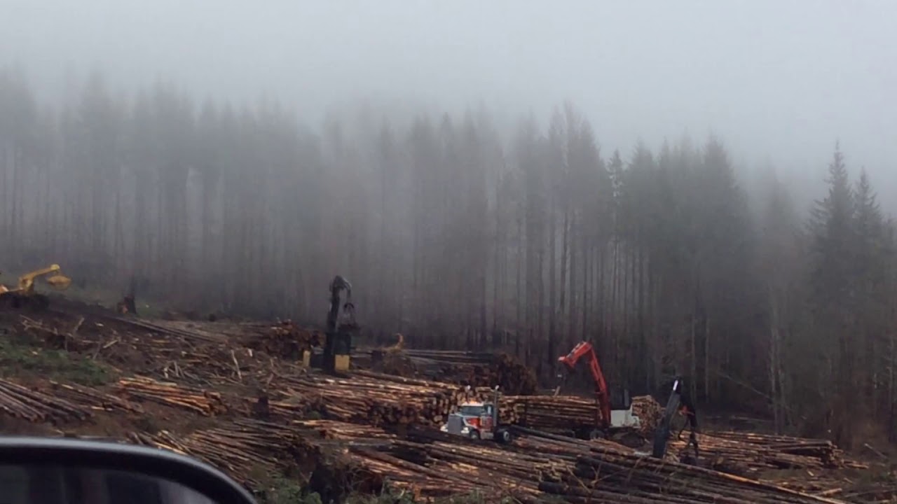 Logger life matters part 7 - YouTube