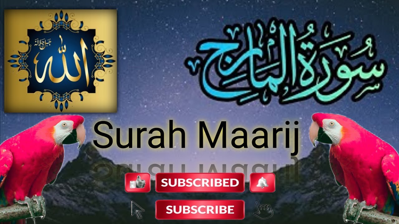 Surah Maarij Quran [[Tilawat]] 2024 - YouTube