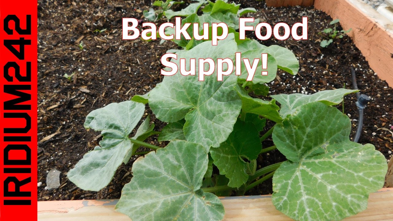 Backup Food Supply For Prep and Survival - YouTube